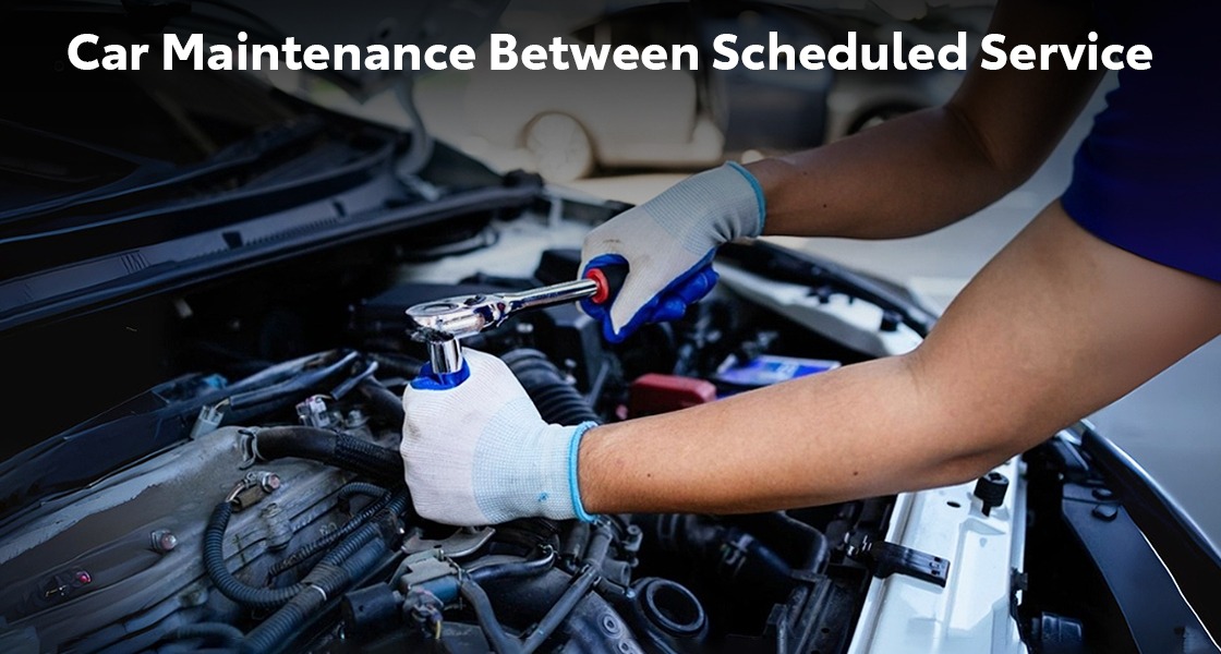 How Does Car Detailing Service Help to Remove Oxidation From Paint ...